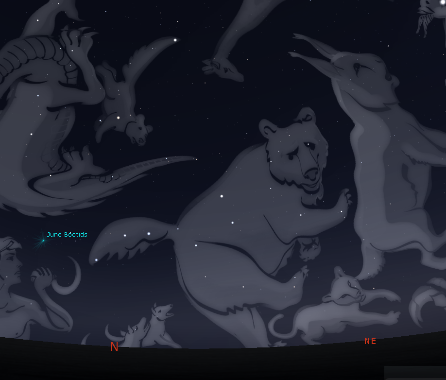 ursa-major – The Spirited Nature